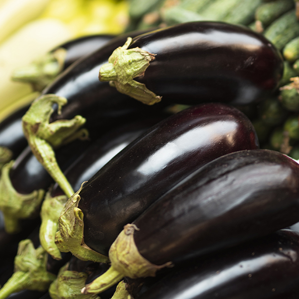 PRIMAGRO – The Best In Nature